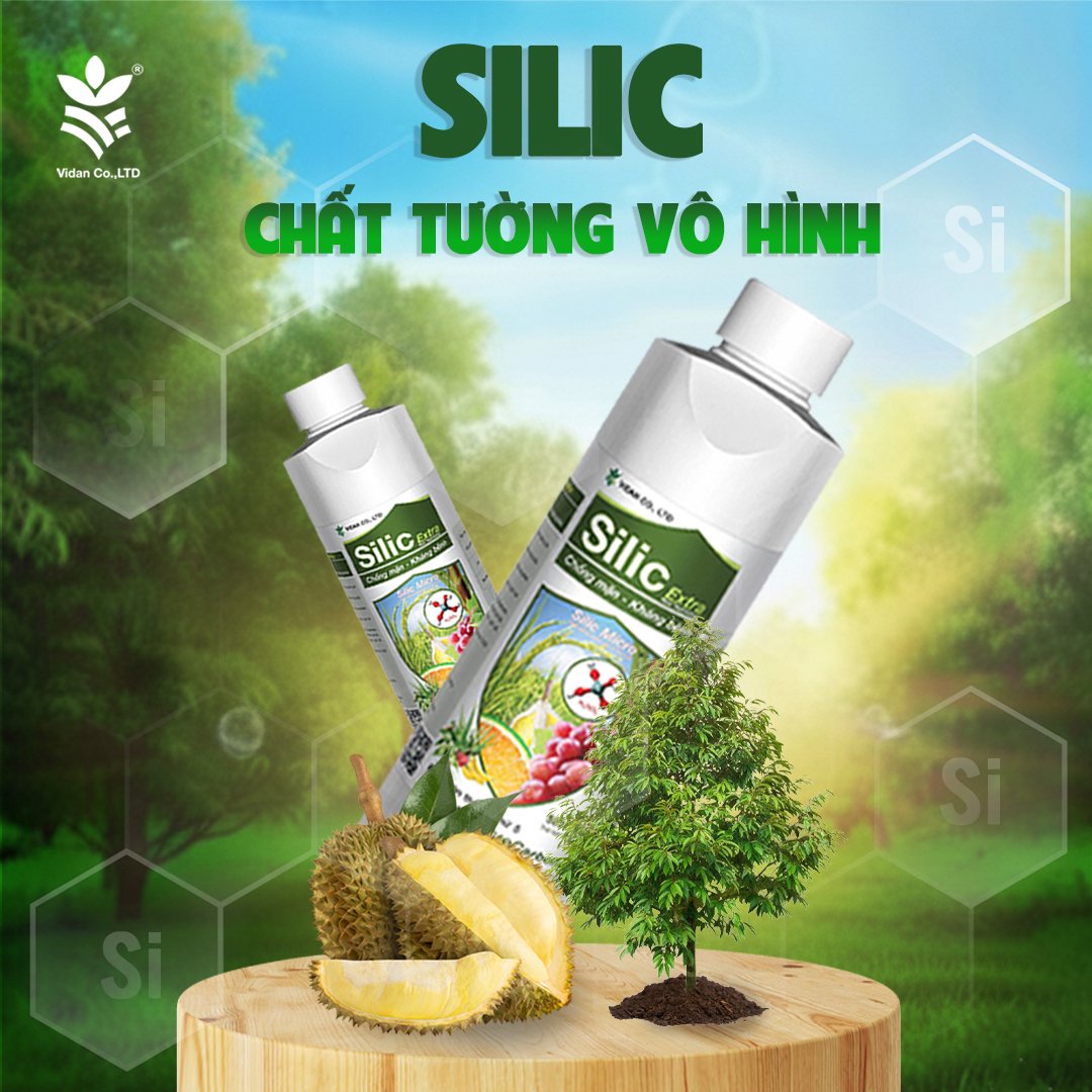 Silic (Si) - Nguyên tố quan trọng đối với cây trồng - VIDAN | Phân bón ...